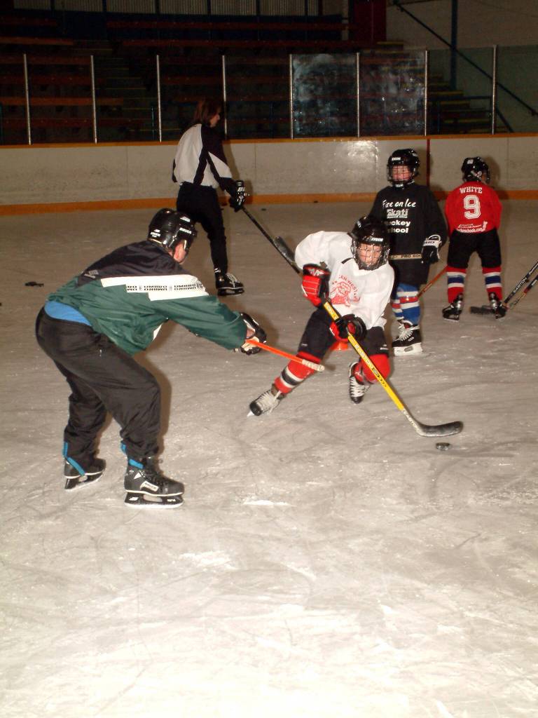 QUIZ: In celebration of hockey | Pipestone Flyer